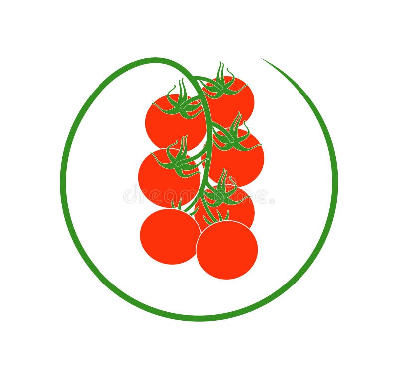 Tomato Logo. Isolated Tomato on White Background Stock Vector ...
