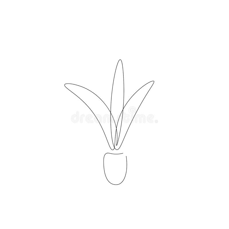 One Line Drawing Plant Pot Stock Illustrations – 652 One Line Drawing ...