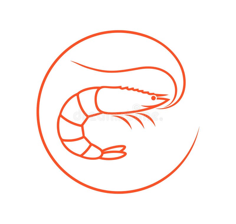 Shrimp outline icon stock vector. Illustration of prawn - 110376207