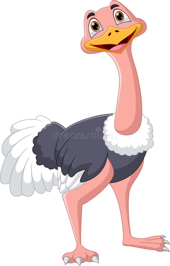 Funny ostrich cartoon stock vector. Illustration of feather - 62307874