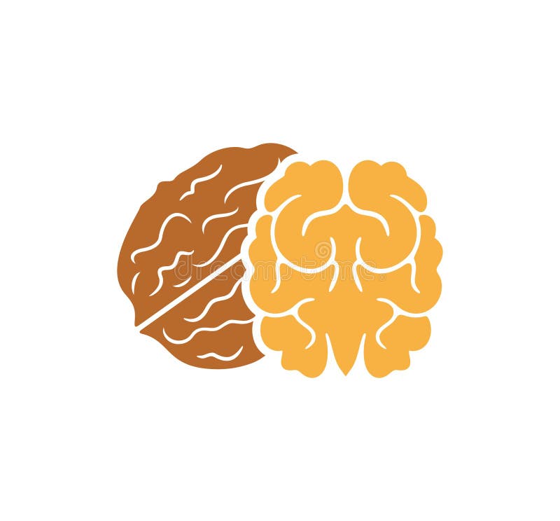 Walnut Logo. Isolated Walnut on White Background Stock Vector ...