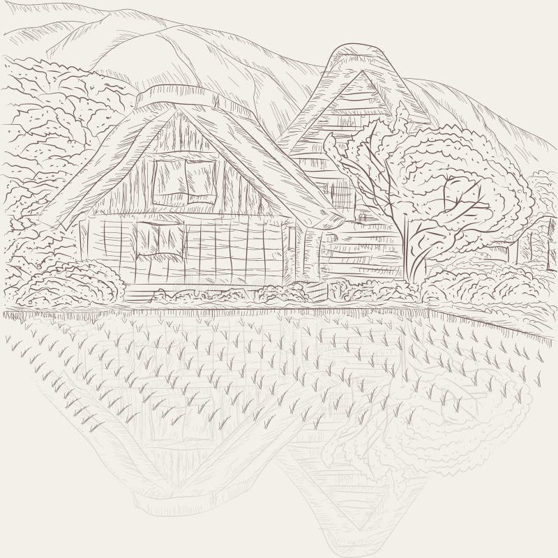 Sketch Illustration Hand Drawing Rice Field House Scenery Stock Vector ...