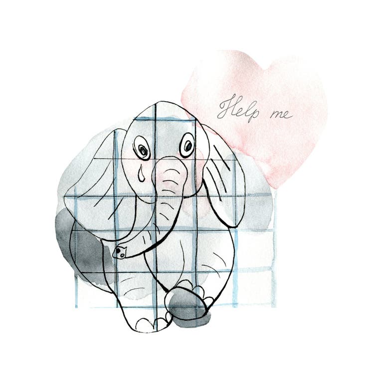 Wildlife Sos Elephant Stock Photos - Free & Royalty-Free Stock Photos ...