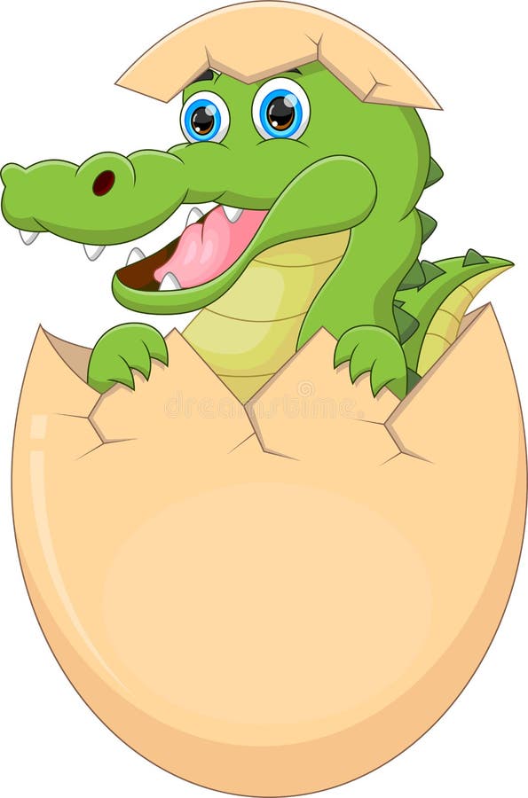 Cartoon Baby Crocodile Hatching from Egg Stock Vector - Illustration of ...
