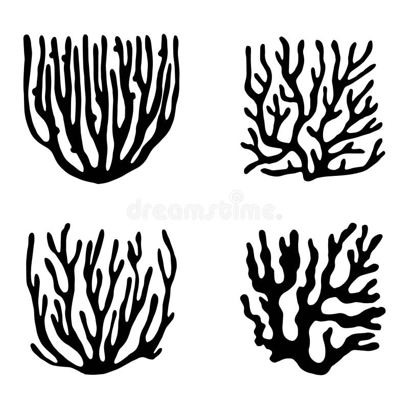 Seaweed Green. Healthy Food Stock Vector - Illustration of reef ...