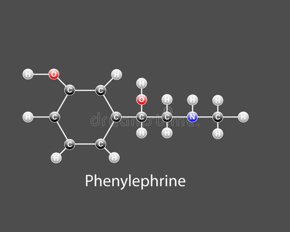 Phenylephrine Structure Design C9H13NO2 Formula Stock Illustration ...