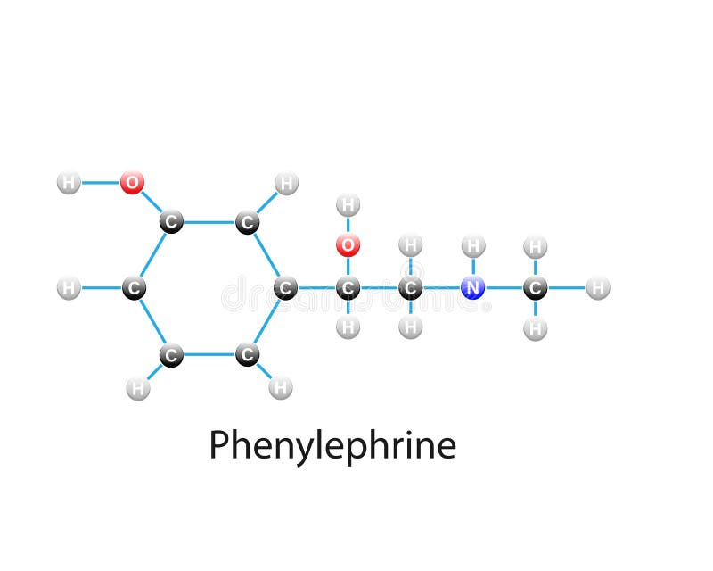 Phenylephrine Structure Design C9H13NO2 Formula Stock Illustration ...