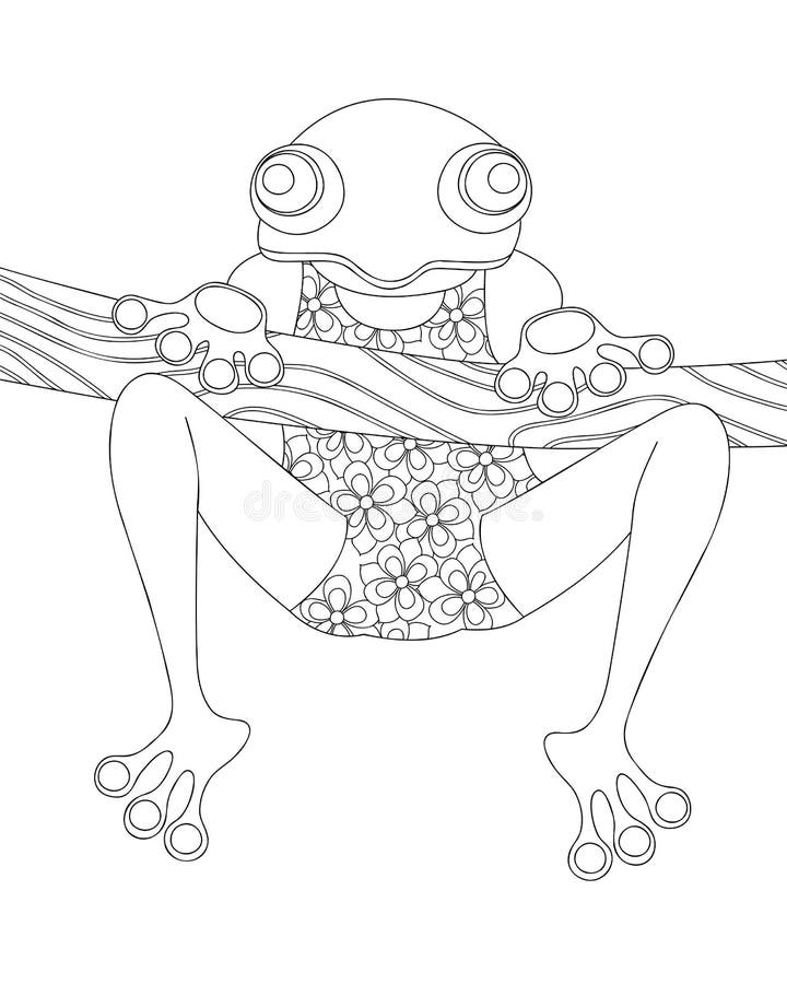 Frog Hanging on Tree Branch - Vector Illustration. Stock Vector ...