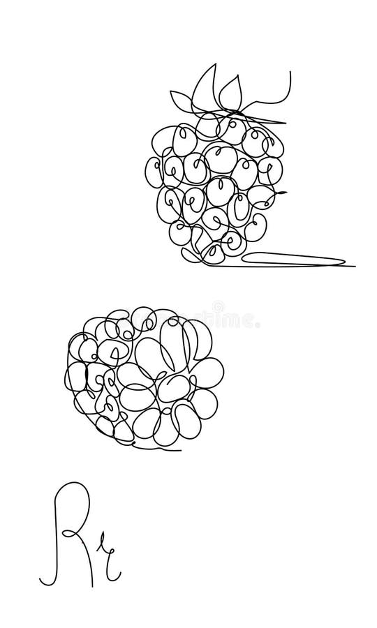 Raspberry One Continuous Line Art. Fruit Set. Fresh Juicy Berries. Raw ...
