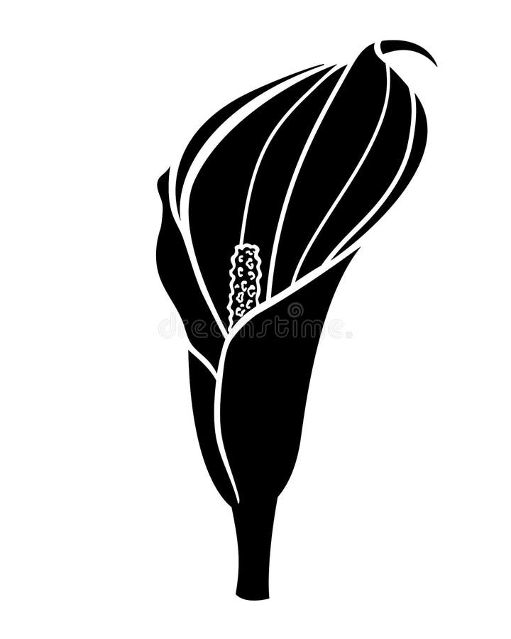 Calla Logo, Zantedeschia and Plant Logo, Calla, Flower, Logo Stock ...