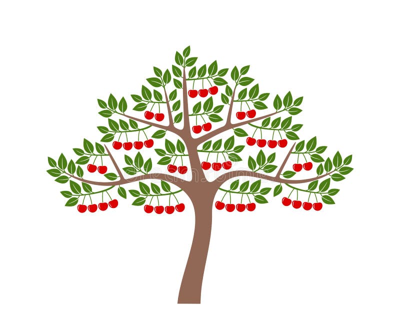 Cherry Tree Logo. Isolated Cherry Tree on White Background Stock Vector ...