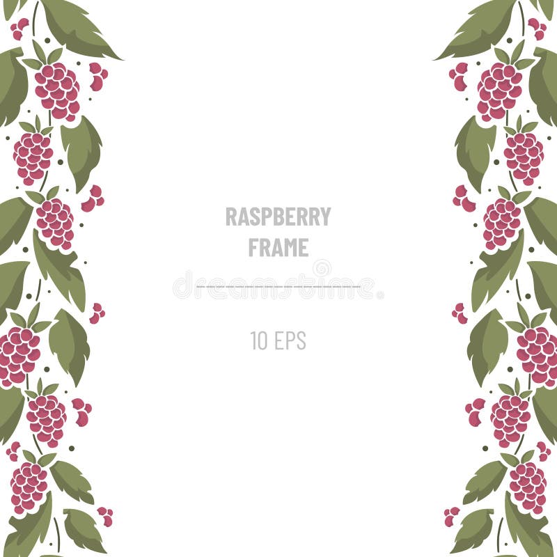 Border Raspberries Stock Illustrations – 244 Border Raspberries Stock ...