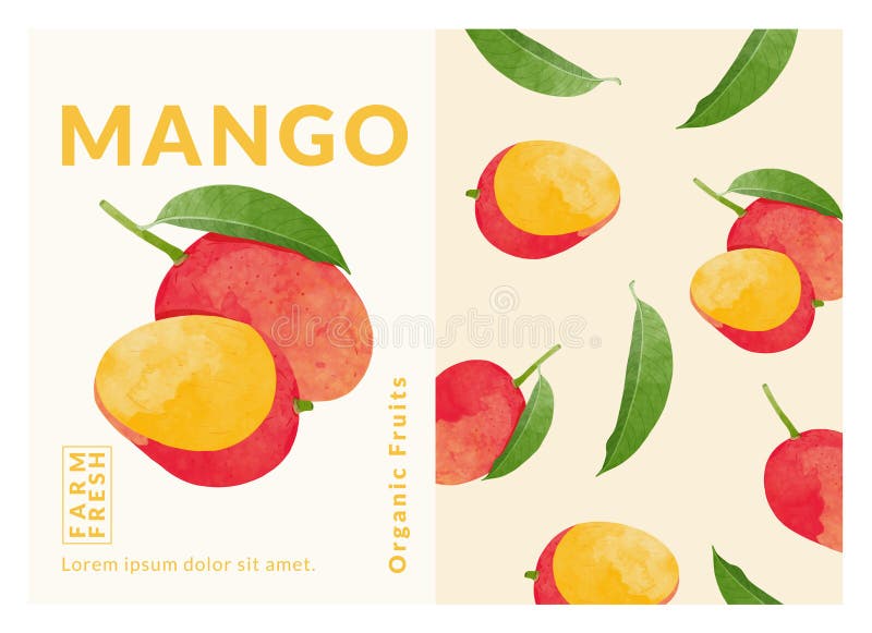 Mango Packaging Design Templates, Watercolour Style Vector Illustration ...
