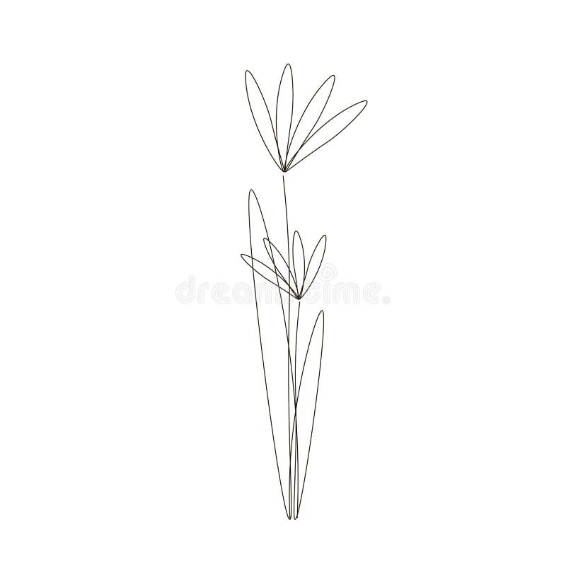 Whisk Flowers Stock Illustrations – 115 Whisk Flowers Stock ...