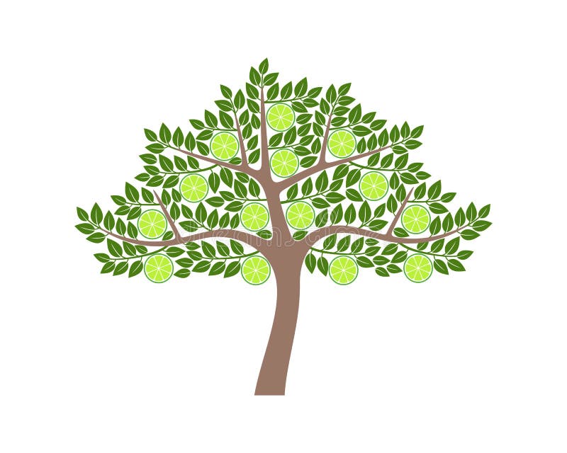 Lime Tree Logo. Isolated Lime Tree on White Background Stock Vector ...