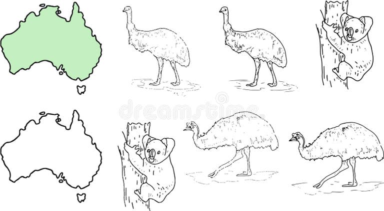 Animals Australia Graphic Illustration Hand Drawn Koala Emu Isolated on ...