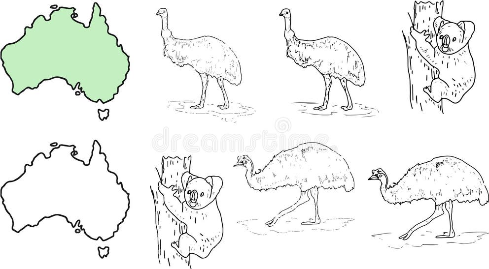Animals Australia Graphic Illustration Hand Drawn Koala Emu Isolated on ...