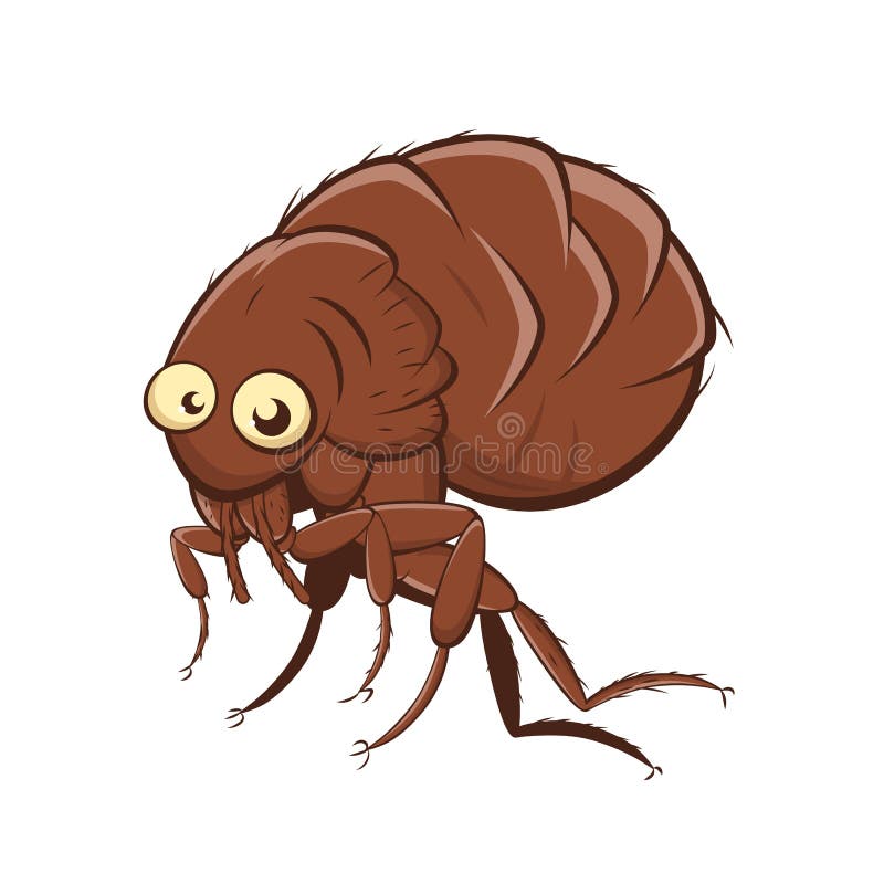 Funny Illustration of a Cartoon Flea Stock Illustration - Illustration ...