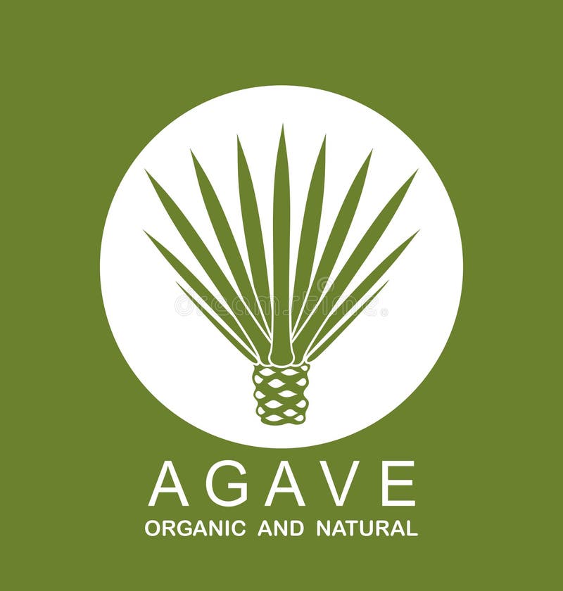 Blue Agave Logo. Isolated Agave on White Background Stock Vector ...