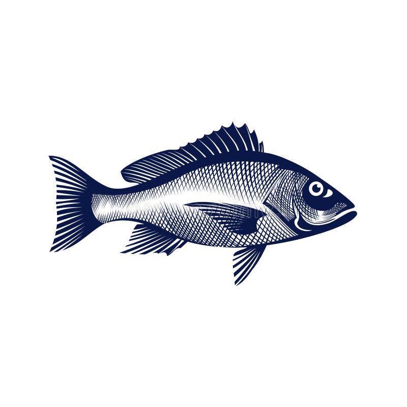 Fresh Fish Vector Illustration for Your Project Stock Vector ...