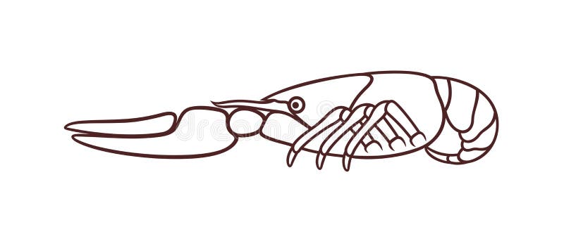 Crayfish Outline. Isolated Crayfish on White Background Stock Vector ...