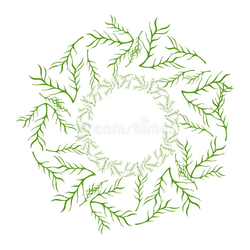 Hand Drawn Vector Green Floral Rustic Circle Wreaths with Plant Leaves ...