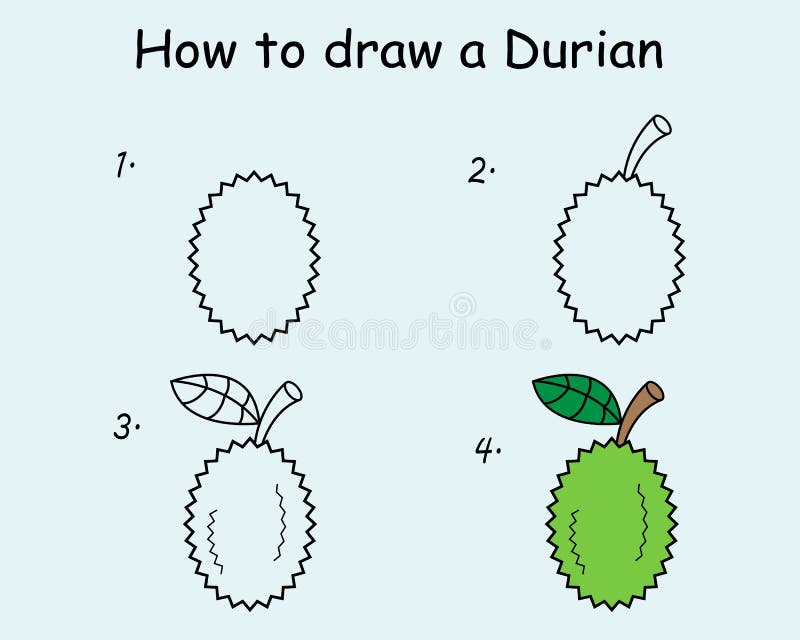 Step by Step To Draw a Durian. Drawing Tutorial a Durian. Drawing ...