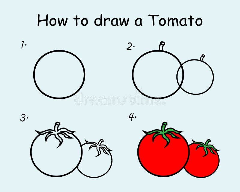 Step by Step To Draw a Tomato. Drawing Tutorial a Tomato. Drawing ...