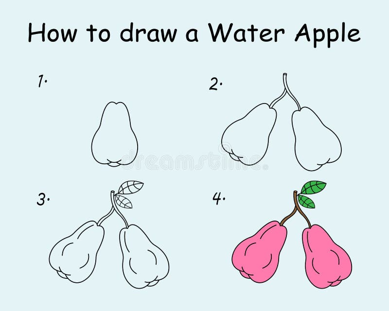 Step by Step To Draw a Water Apple. Drawing Tutorial a Water Apple ...