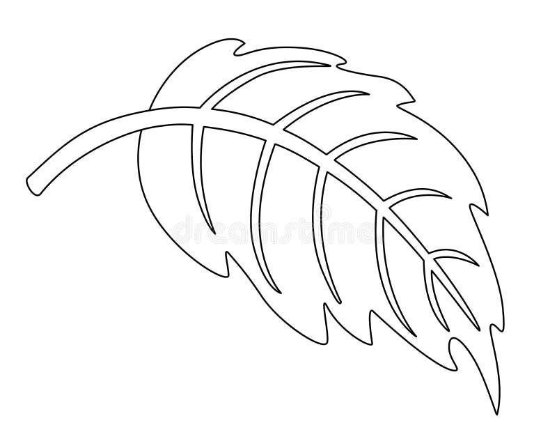 Hydrangea Leaf, Plant - Vector Linear Picture for Coloring. Outline ...