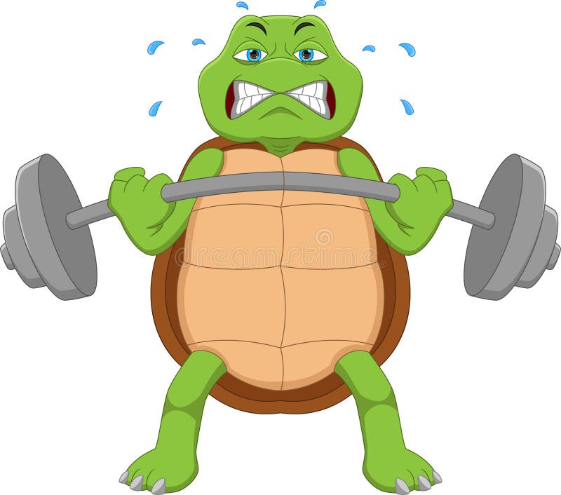 Fitness Turtle Stock Illustrations – 126 Fitness Turtle Stock ...