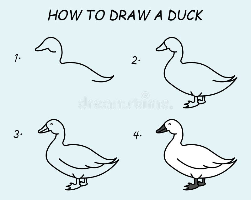Step by Step To Draw a Duck. Drawing Tutorial a Duck. Drawing Lesson ...