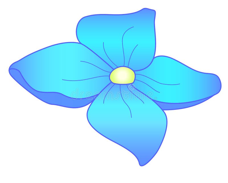 Flower from Hydrangea Inflorescence - Vector Full Color Element. Blue ...