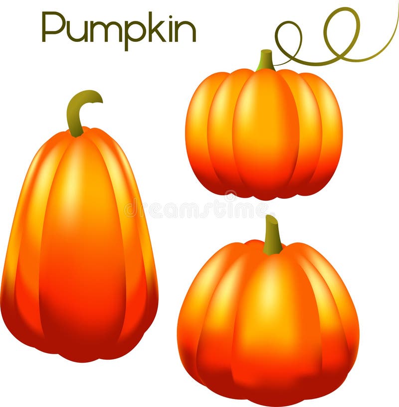 Set of vector pumpkins stock vector. Illustration of eiquest - 255410172