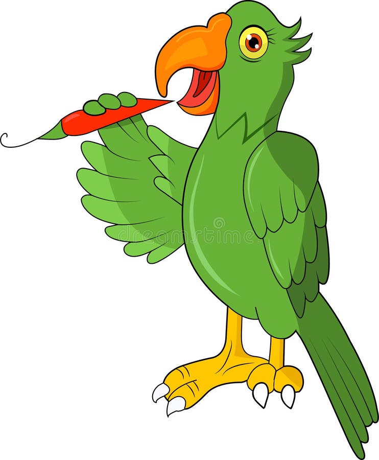 Green Parrot Eating Red Chili Vector Illustration Graphic Stock Vector ...