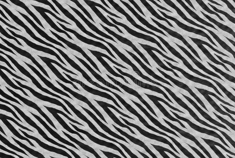 Clean and Realistic Black and White Zebra Skin Texture Background Stock ...
