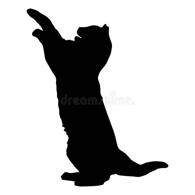 Black Cat Silhouette , Standing Cat Stock Vector - Illustration of ...
