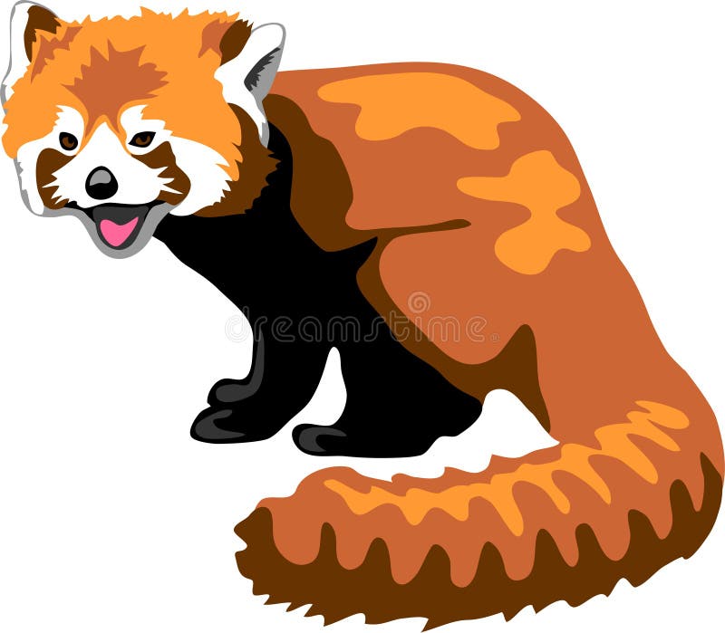 Red Panda vector stock illustration. Illustration of fluffy - 259636524