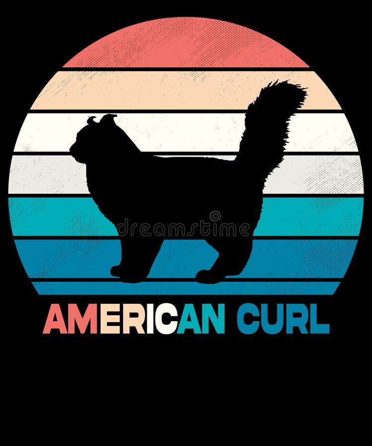 Funny American Curl Silhouetted Stock Vector - Illustration of funny ...