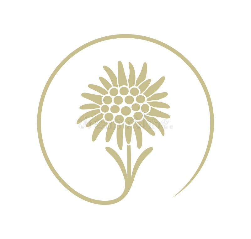 Edelweiss Logo. Isolated Edelweiss on White Background Stock Vector ...