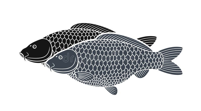Carp Logo. Isolated Carp on White Background Stock Vector ...