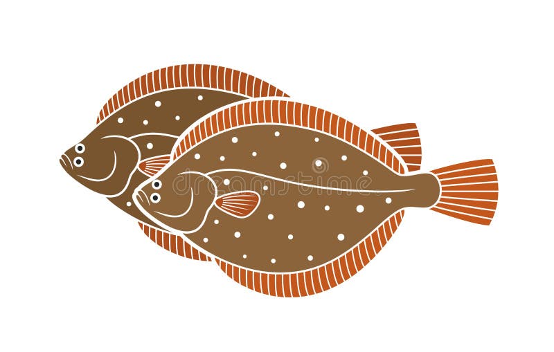 Flounder Stock Illustrations – 2,239 Flounder Stock Illustrations ...