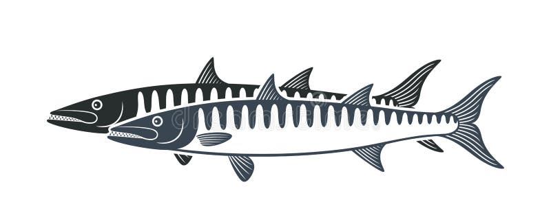 Barracuda Abstract Stock Illustrations – 56 Barracuda Abstract Stock ...