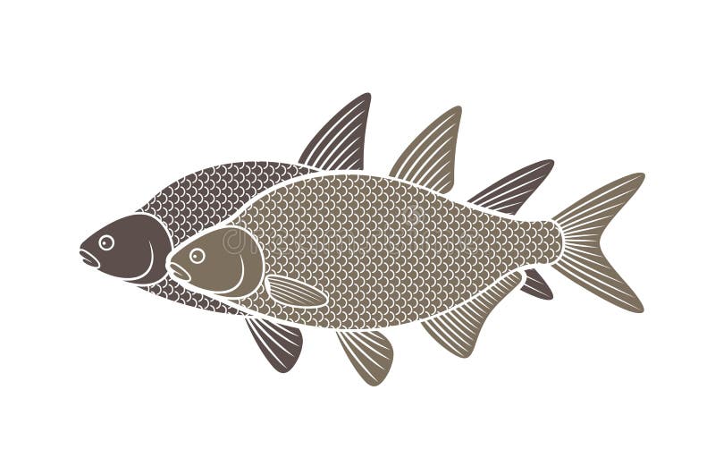 Bream Logo. Isolated Bream on White Background Stock Vector ...