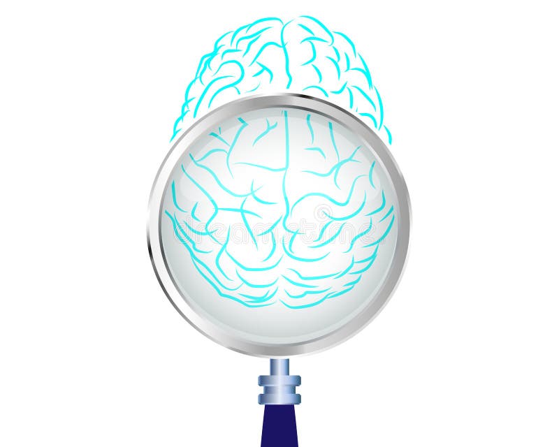Human Brain Icon Focused with Magnifying Glass Vector Stock ...
