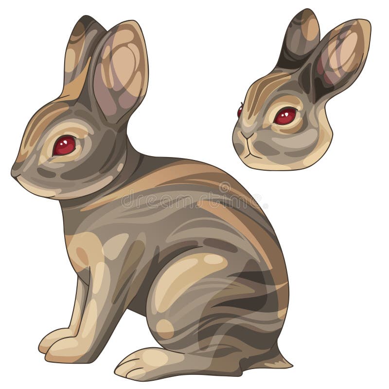 Breed of Britannia Petite Rabbit Stock Vector - Illustration of vector ...