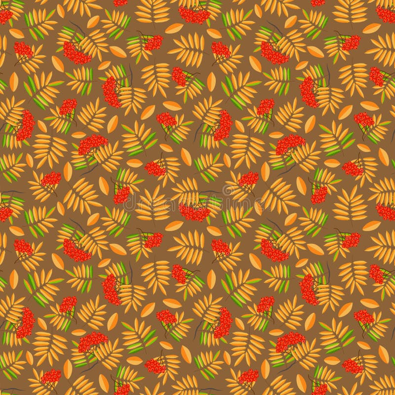 Red Rowan, Colourful Autumn Leaves, Autumn Pattern, Brown Background ...