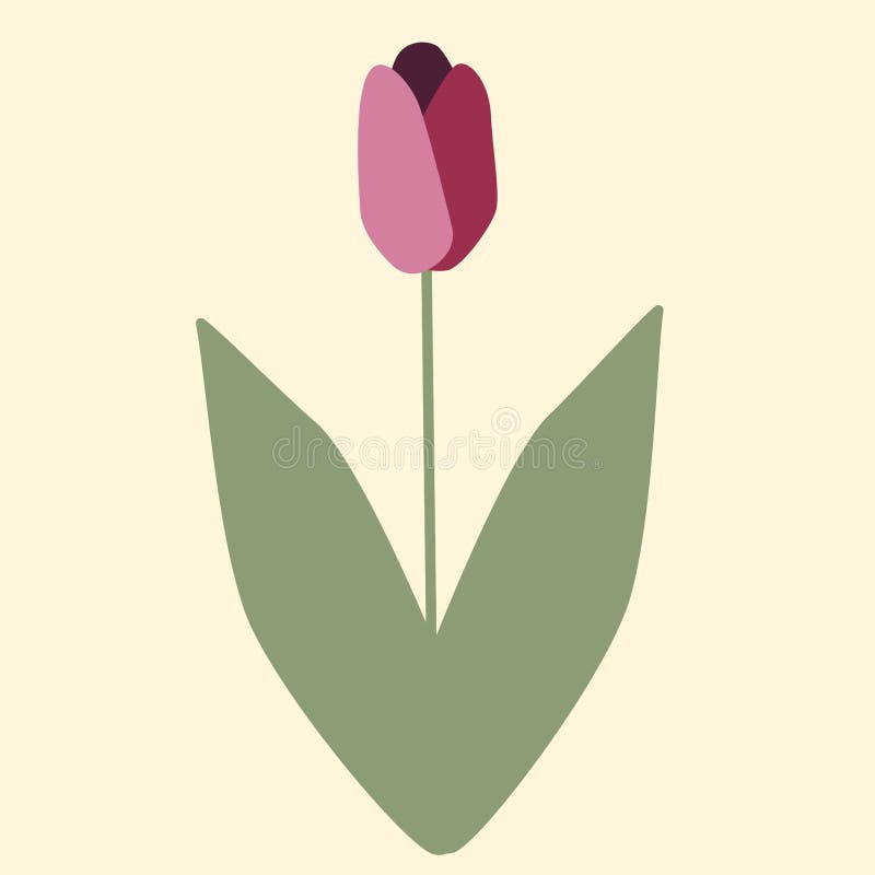 Tulip flower flat style stock vector. Illustration of style - 267136096