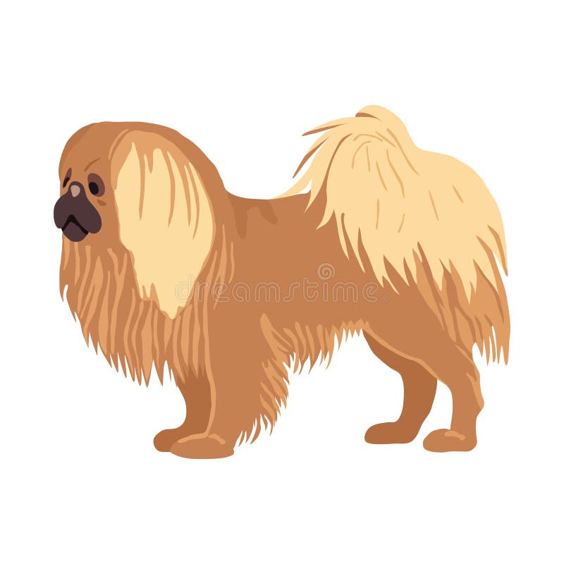 Pekingese - Stylized Hand Drawn Vector Illustration. Stock Vector ...