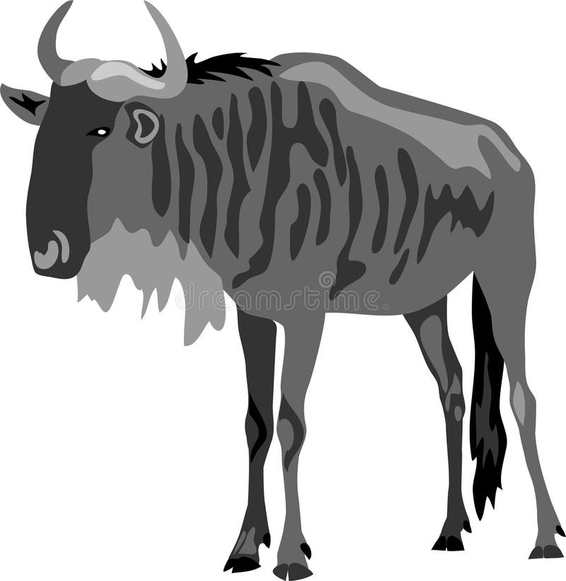 Blue wildebeest vector stock vector. Illustration of savanna - 268496844